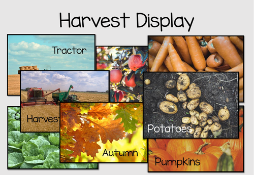 Harvest Festival Display | Teaching Resources