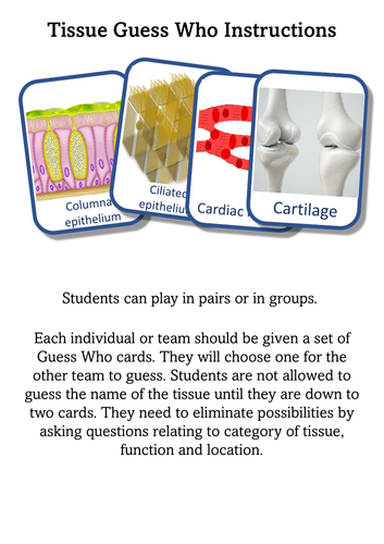 BTEC health and social care anatomy and physiology tissue Guess Who ...