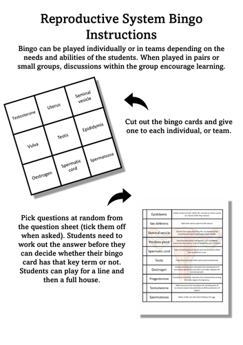 BTEC health and social care anatomy and physiology reproductive system ...