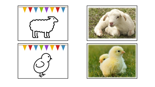 Spring Snap Card Game EYFS / SK1 | Teaching Resources