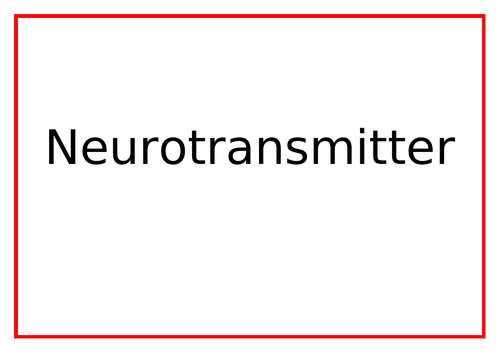 Nervous System Revision Game | Teaching Resources