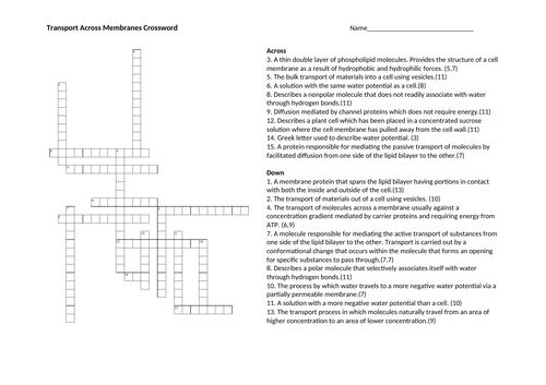 Cell Membrane Transport Crossword & Answers (AS/Year 1 A level Biology ...