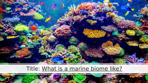 Marine biome | Teaching Resources