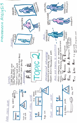 GCSE PE AQA revision posters | Teaching Resources