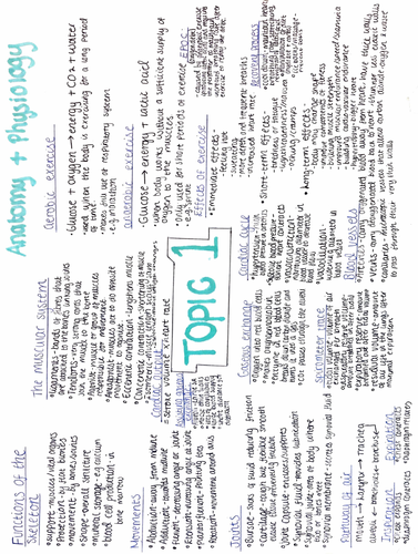 GCSE PE AQA revision posters | Teaching Resources