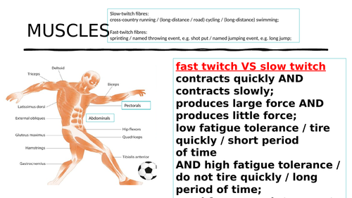 IGCSE Physical Education Revision Guide | Teaching Resources