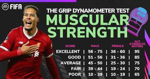 FIFA Ultimate Team - Fitness Testing | Teaching Resources