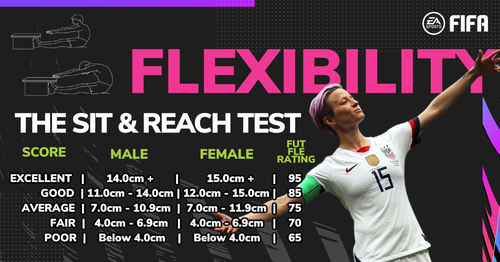 FIFA Ultimate Team - Fitness Testing | Teaching Resources