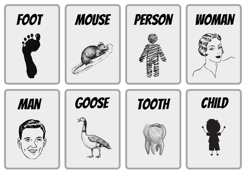 E3 Functional Skills English 24X Irregular Plurals Flash Cards ...