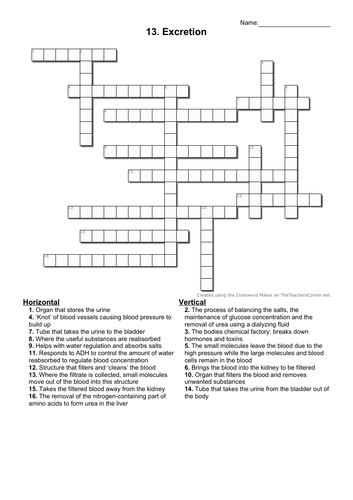 Biology IGCSE (CIE) key word crosswords - full set | Teaching Resources