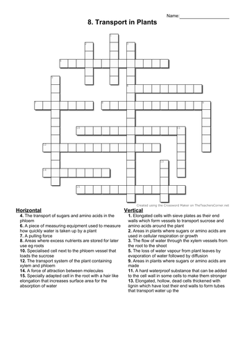 Biology IGCSE (CIE) key word crosswords - full set | Teaching Resources