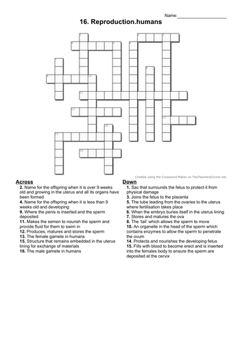 Biology IGCSE (CIE) key word crosswords - full set | Teaching Resources