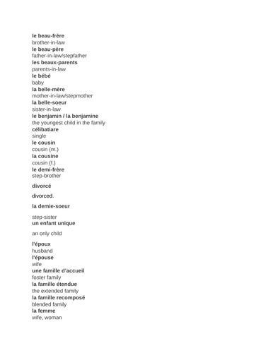 A level French vocabulary revision extensive list of family members and ...