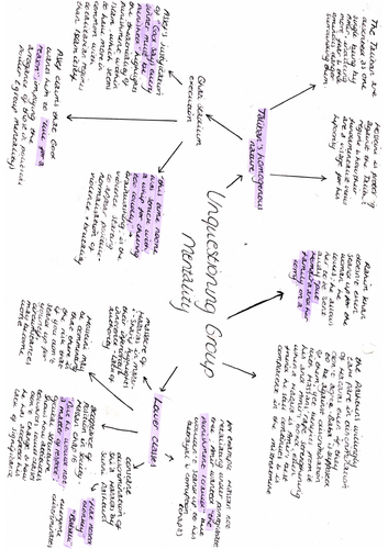AQA Literature B: The Kite Runner mind maps | Teaching Resources