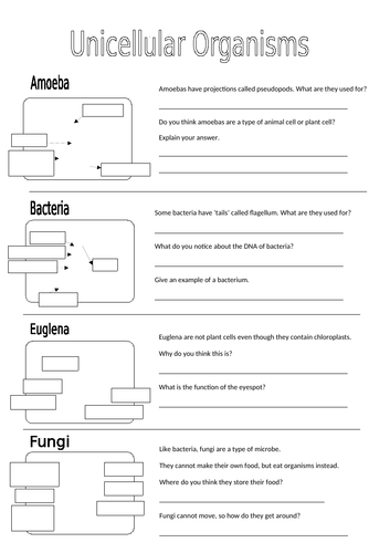 Activate 1 - B1.5 - Unicellular Organisms | Teaching Resources