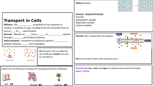AQA GCSE Biology (9-1) B1 Cell structure and transport - REVISION ...