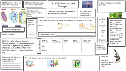AQA GCSE Biology (9-1) B1 Cell structure and transport - REVISION ...