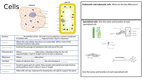AQA GCSE Biology (9-1) B1 Cell structure and transport - REVISION ...