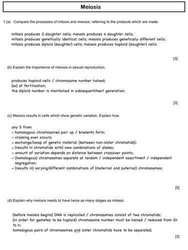 Meiosis A-level AS Biology exam style questions worksheet | Teaching ...