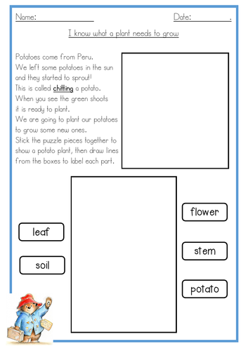 Paddington - plans and resources for English & Topic | Teaching Resources