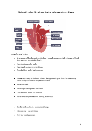 Circulatory System+CHD - Biology AQA Combined Science Revision ...
