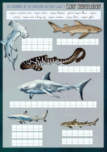 [French] Find and write the right word: Sharks (les requins) | Teaching ...