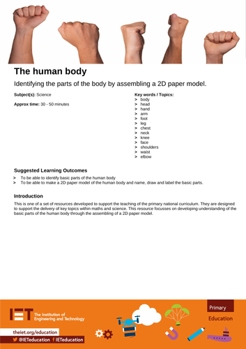 2D paper modelling: The human body | Teaching Resources