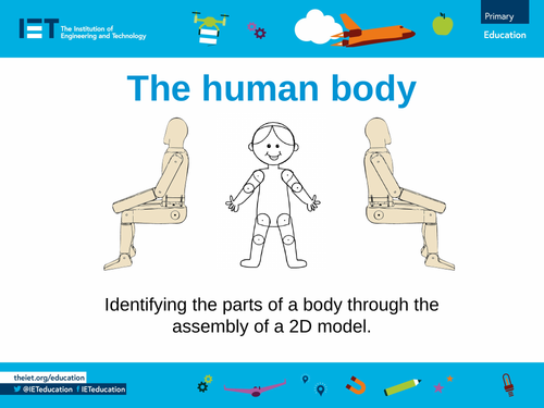 2D paper modelling: The human body | Teaching Resources