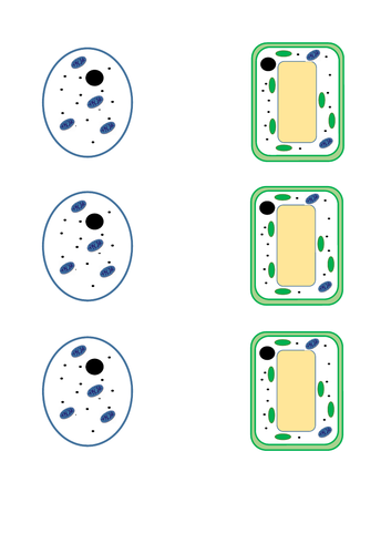 AQA combined science trilogy Biology GCSE Topic 1 (B1-B2) Cells and ...
