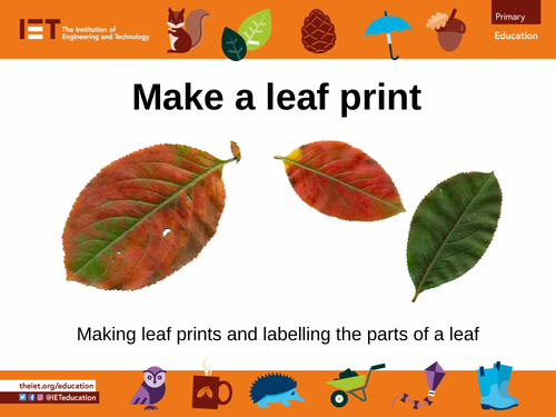 Make a leaf print | Teaching Resources