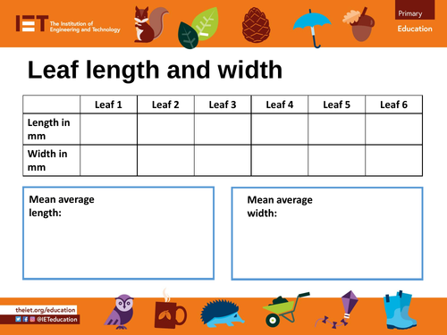 Mathematical measuring - lengths of leaves | Teaching Resources