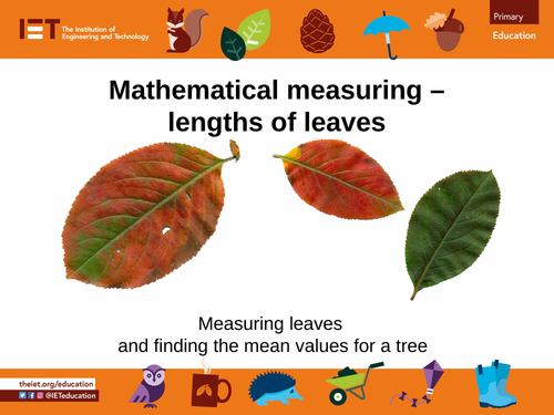 Mathematical measuring - lengths of leaves | Teaching Resources