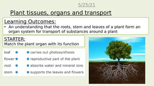 AQA combined science trilogy Biology GCSE Topic 2 (B3-B4) Organisation ...