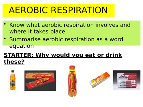 AQA combined science Biology GCSE Topic 4 (B8/B9) Bioenergetics ...