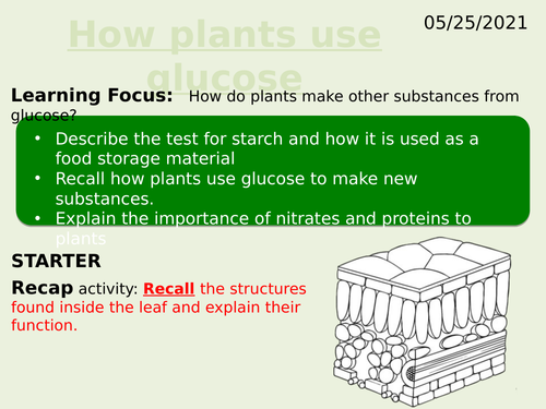 AQA combined science Biology GCSE Topic 4 (B8/B9) Bioenergetics ...