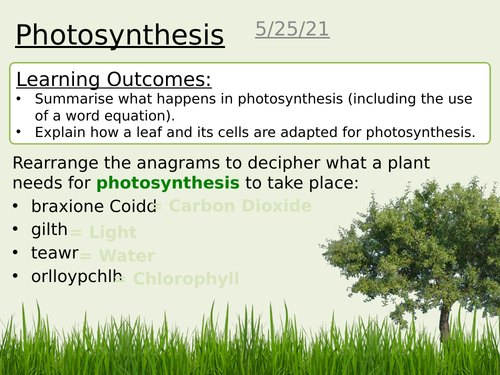 AQA combined science Biology GCSE Topic 4 (B8/B9) Bioenergetics ...