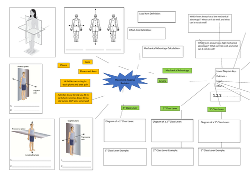 Movement Analysis Worksheet/Revision Bundle | Teaching Resources