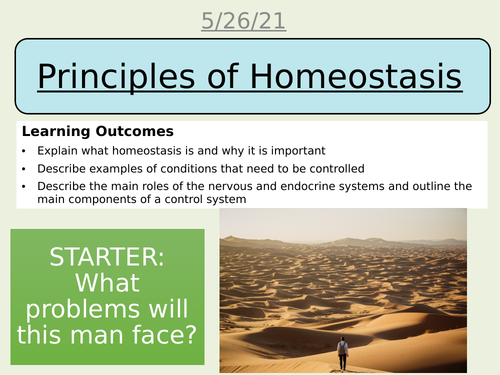 Principles of homeostasis AQA science trilogy Biology GCSE | Teaching ...