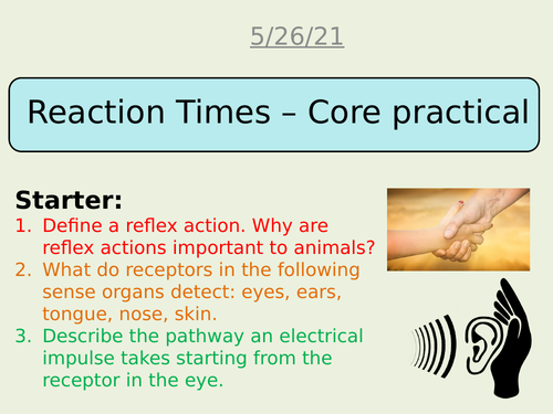 Measuring reaction times AQA science trilogy Biology GCSE | Teaching ...