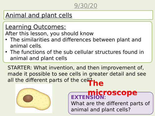 Animal and plant cells AQA science trilogy Biology GCSE | Teaching ...