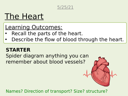 The heart and circulatory system mini unit of lessons AQA combined ...