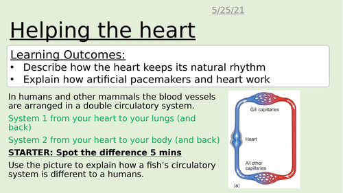 The heart and circulatory system mini unit of lessons AQA combined ...