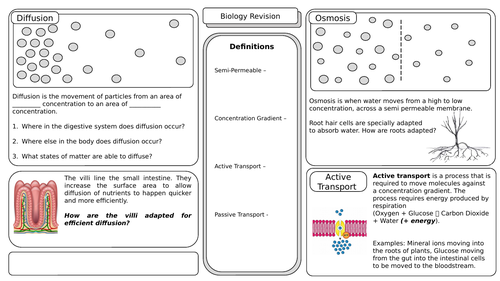 Transport in Cells Revision Sheet | Teaching Resources