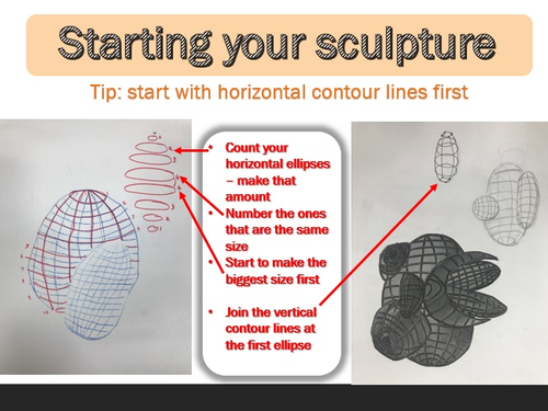 Abstract sculpture inspired by nature | Teaching Resources