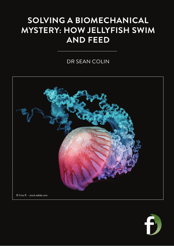 Marine biology - How do jellyfish swim and feed? | Teaching Resources