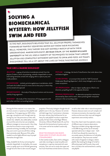 Marine biology - How do jellyfish swim and feed? | Teaching Resources