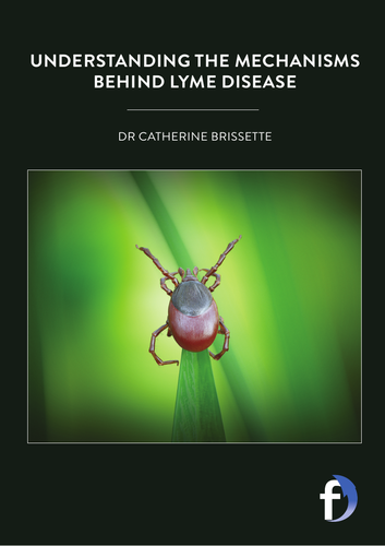 Understanding the mechanisms behind Lyme disease | Teaching Resources