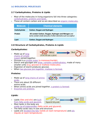 Biological Molecules | (I)GCSE Biology Detailed Notes | Teaching Resources