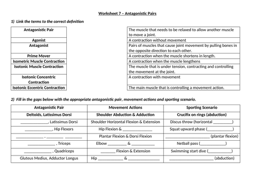 AQA GCSE PE - Antagonistic Muscle Pairs | Teaching Resources