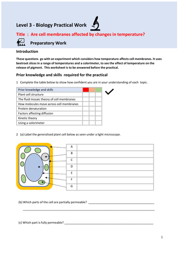 How temperature affects cell membranes. | Teaching Resources